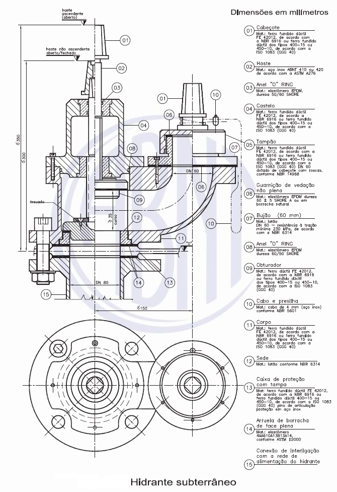 Target Normas: Os hidrantes urbanos de incêndio de ferro fundido