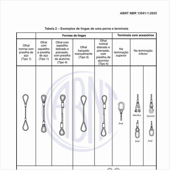 Target Normas: são os exemplos de lingas de uma perna terminais?