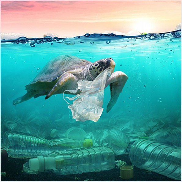 Target Normas: BS EN ISO 14005: a implementação da gestão ambiental